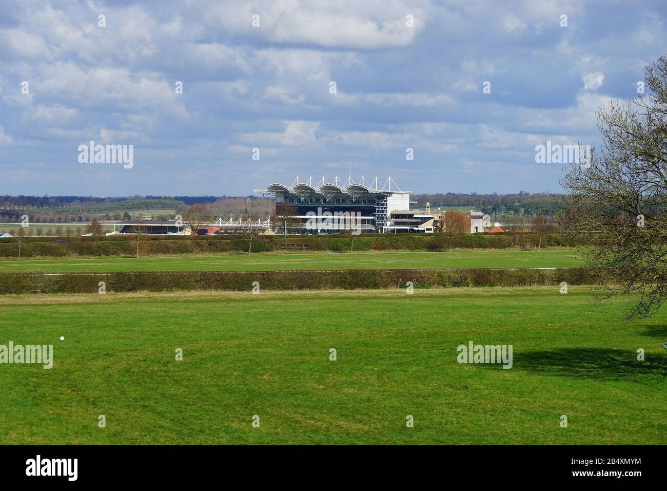 Newmarket racecourse -Fotos und -Bildmaterial in hoher Auflösung – Alamy