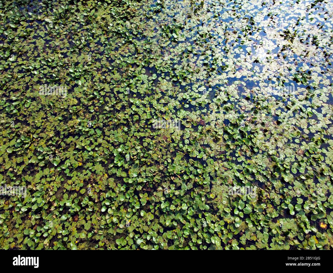 Sumpf Von Oben Stockfotos und -bilder Kaufen - Alamy