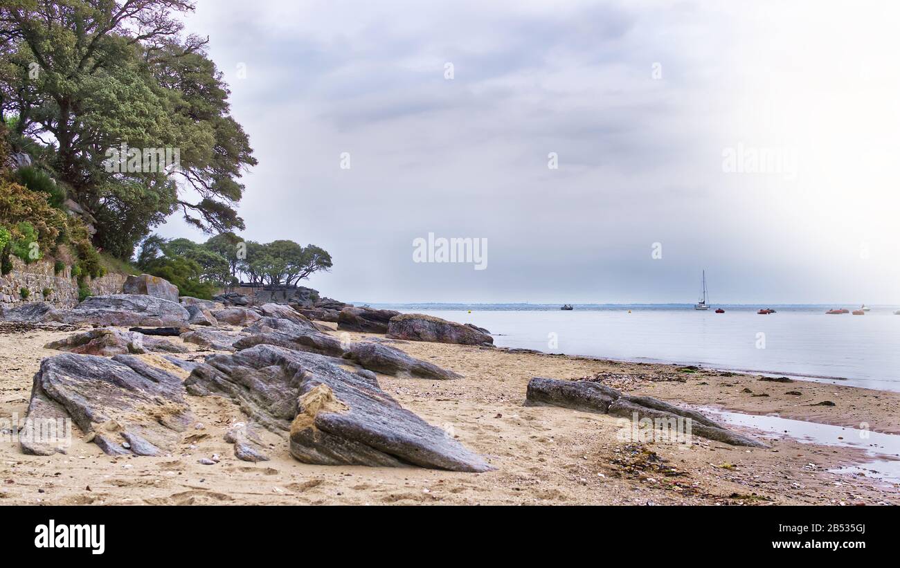 Felsen holz und baum am strand -Fotos und -Bildmaterial in hoher ...
