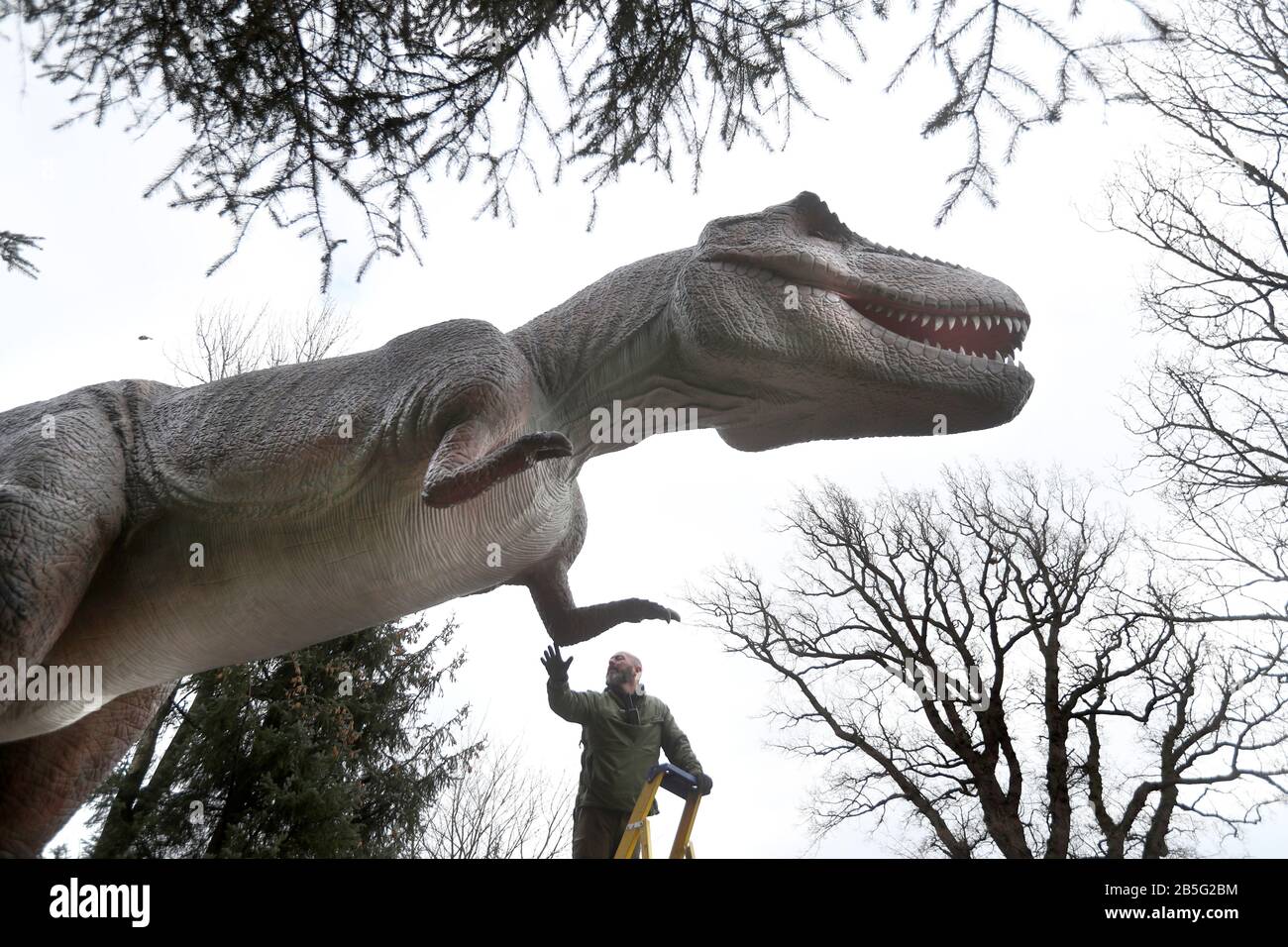 Am MONTAG, DEN 9. MÄRZ, nahm Gavin Hughes vom Blair Drummond Safari ...