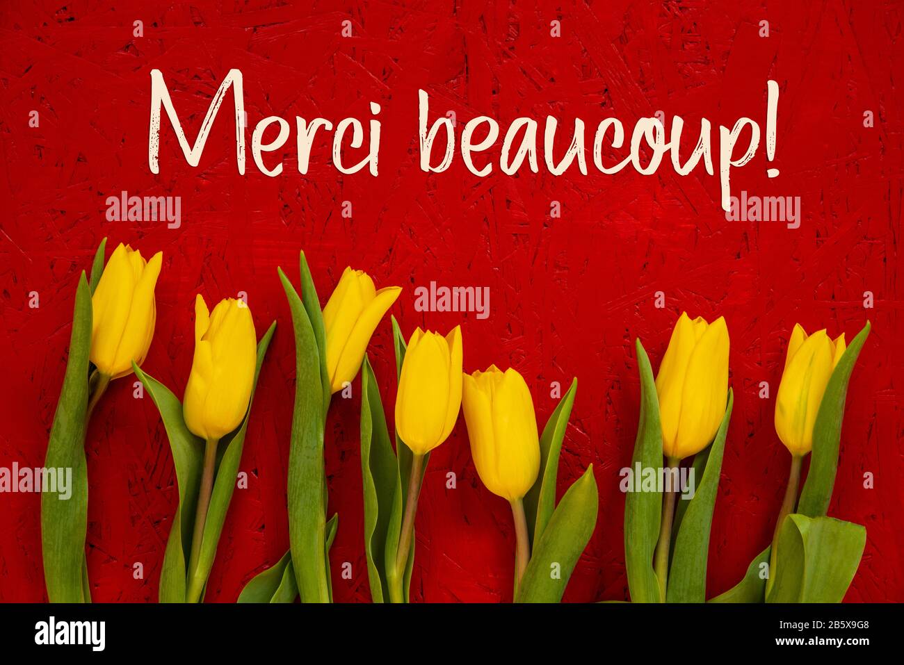 Merci card with flowers -Fotos und -Bildmaterial in hoher Auflösung – Alamy