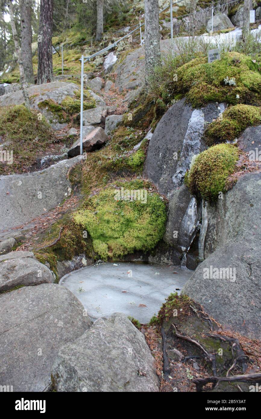 Askolan hiidenkirnut -Fotos und -Bildmaterial in hoher Auflösung – Alamy