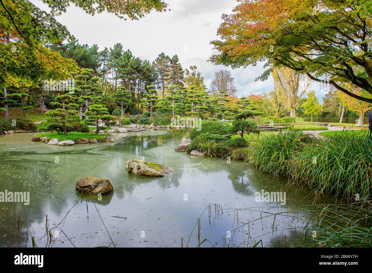 Japanischer Garten In Dusseldorf