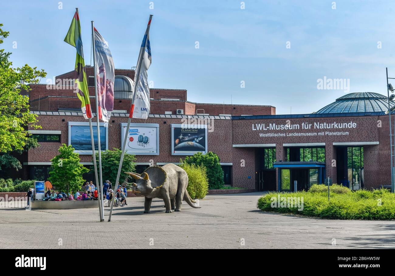 Verwunderlich Lwl Museum Fur Naturkunde Fotos