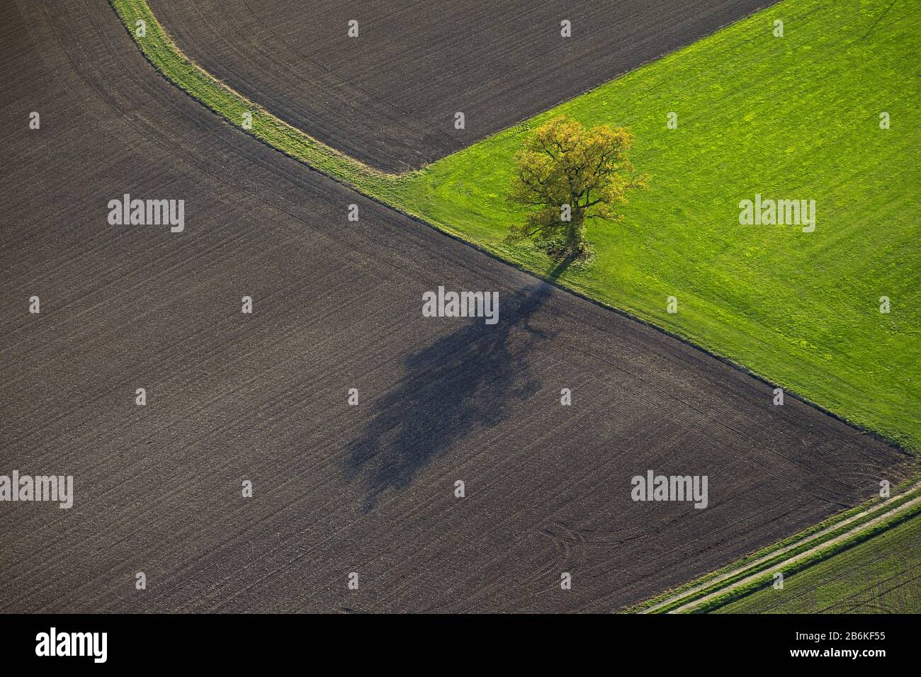 Lange baumschatten -Fotos und -Bildmaterial in hoher Auflösung – Alamy