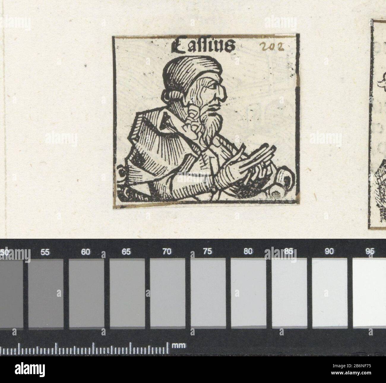 Gaius cassius longinus -Fotos und -Bildmaterial in hoher Auflösung – Alamy