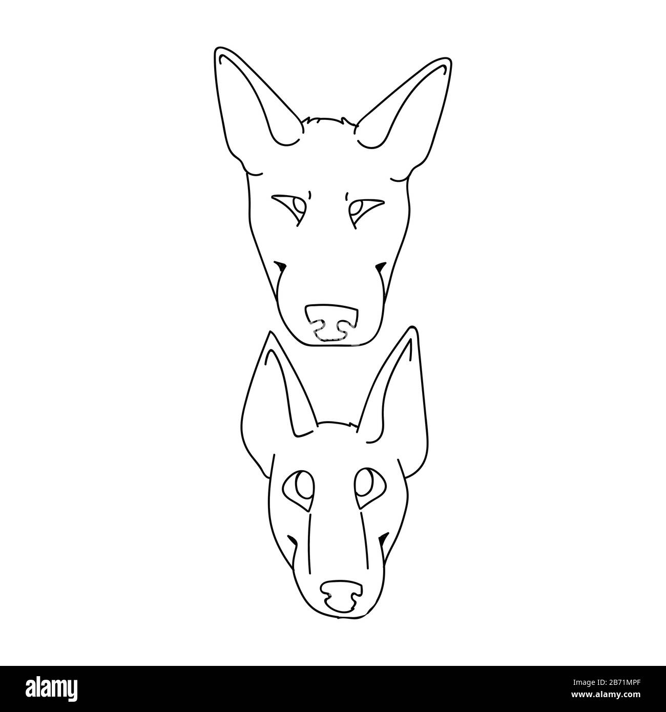 Niedliche Cartoon-Bullen-Terrierhund und- und Welpengesichter züchten ...