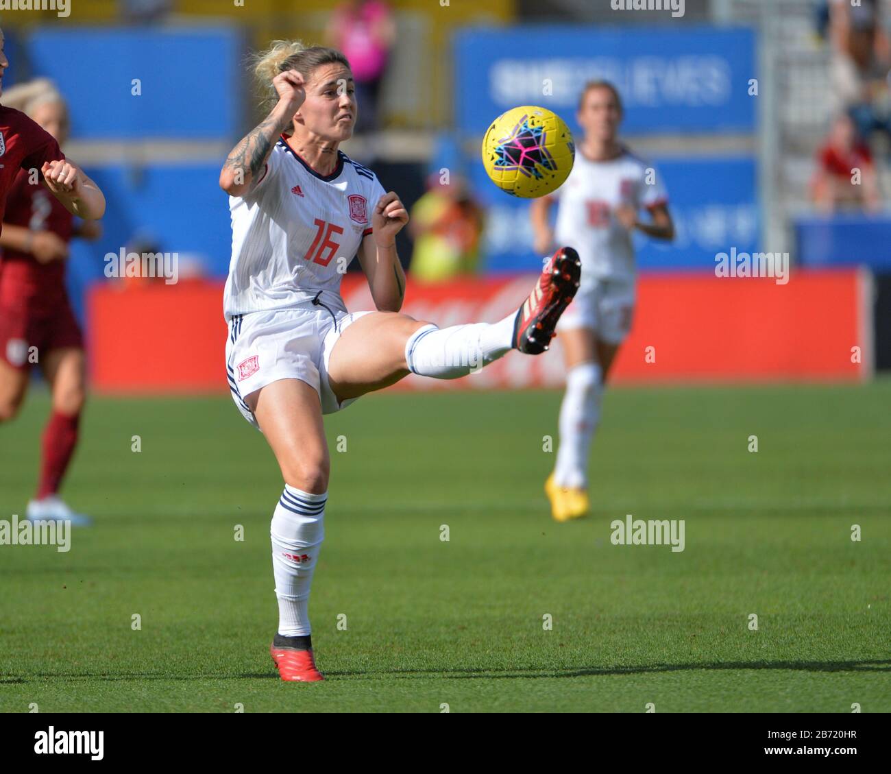 Mapi leon -Fotos und -Bildmaterial in hoher Auflösung – Alamy