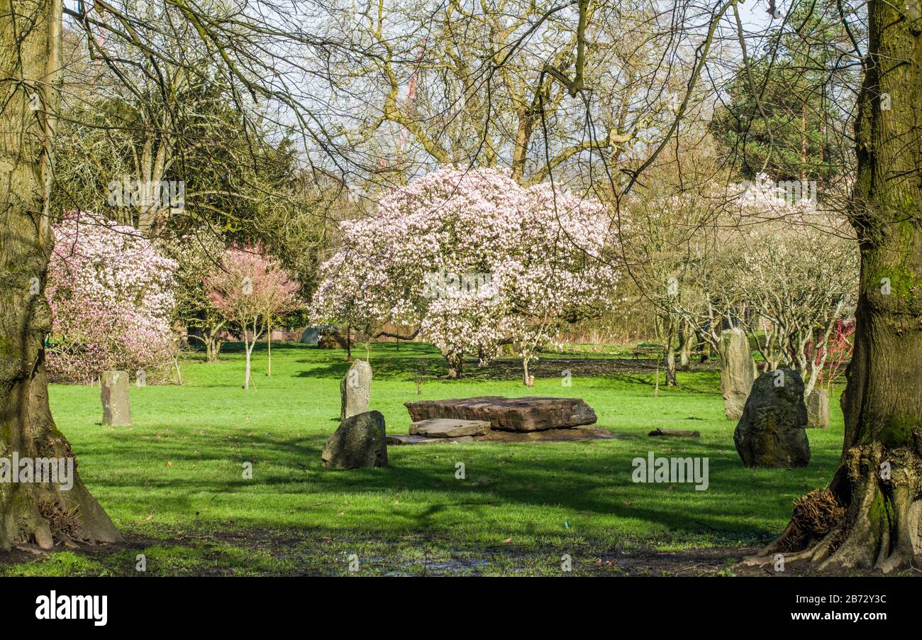 Bute park steine -Fotos und -Bildmaterial in hoher Auflösung – Alamy