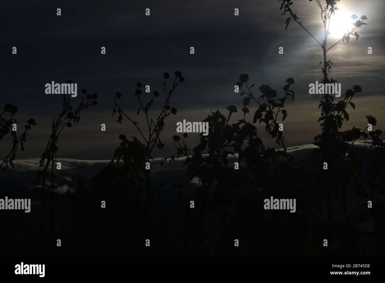 Halsema autobahn -Fotos und -Bildmaterial in hoher Auflösung – Alamy