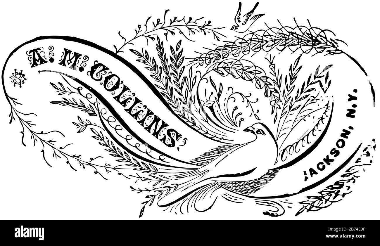 Convex Banner ist ein Werbebild, es ist entweder ein Grafikbild, eine ...