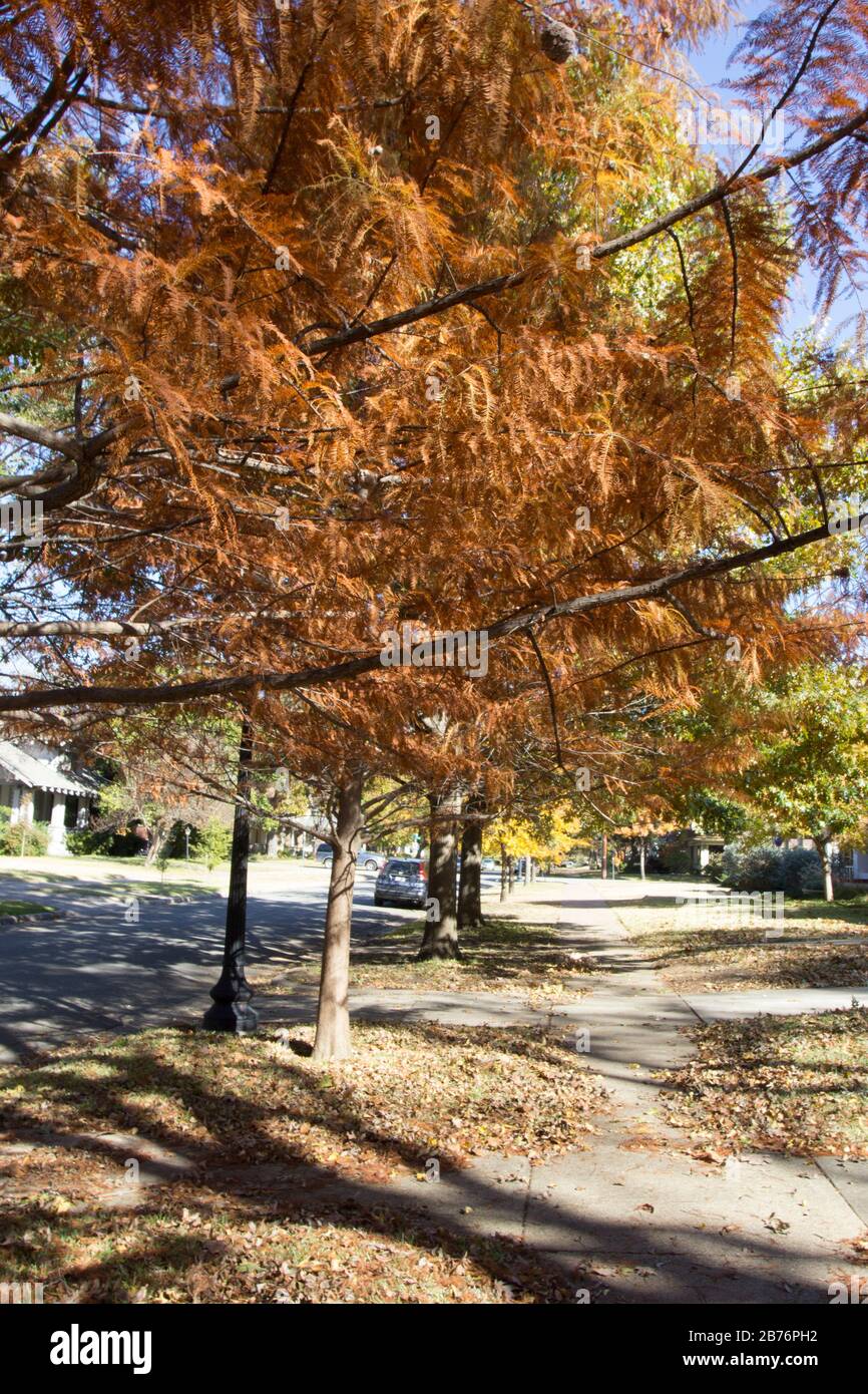 Dallas avenue -Fotos und -Bildmaterial in hoher Auflösung – Alamy