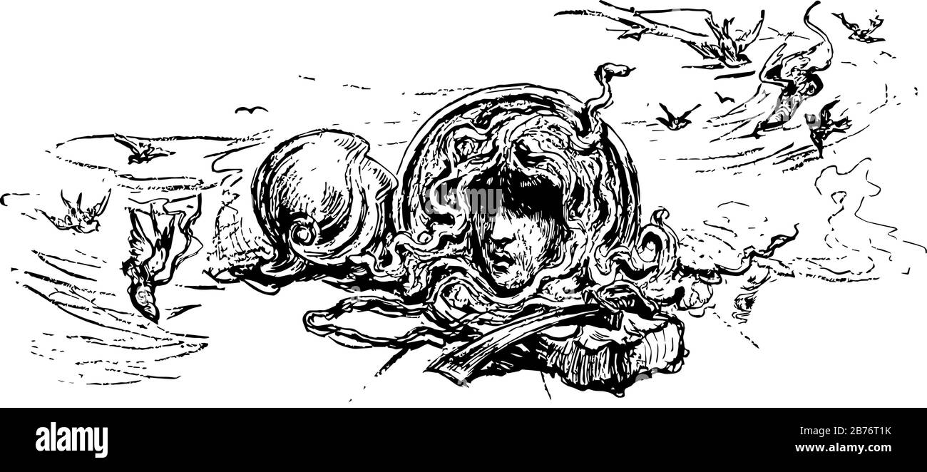 Der Gorgon's Head, dieses Bild zeigt den Kopf des Mannes am Boden, im ...