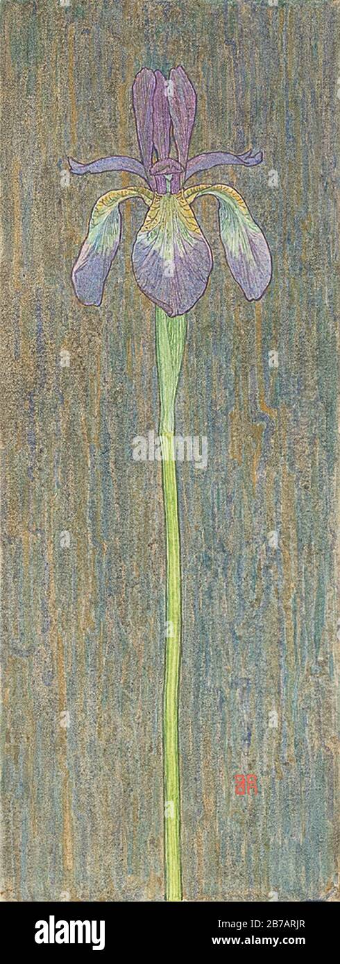 Gijs bosch reitz -Fotos und -Bildmaterial in hoher Auflösung – Alamy
