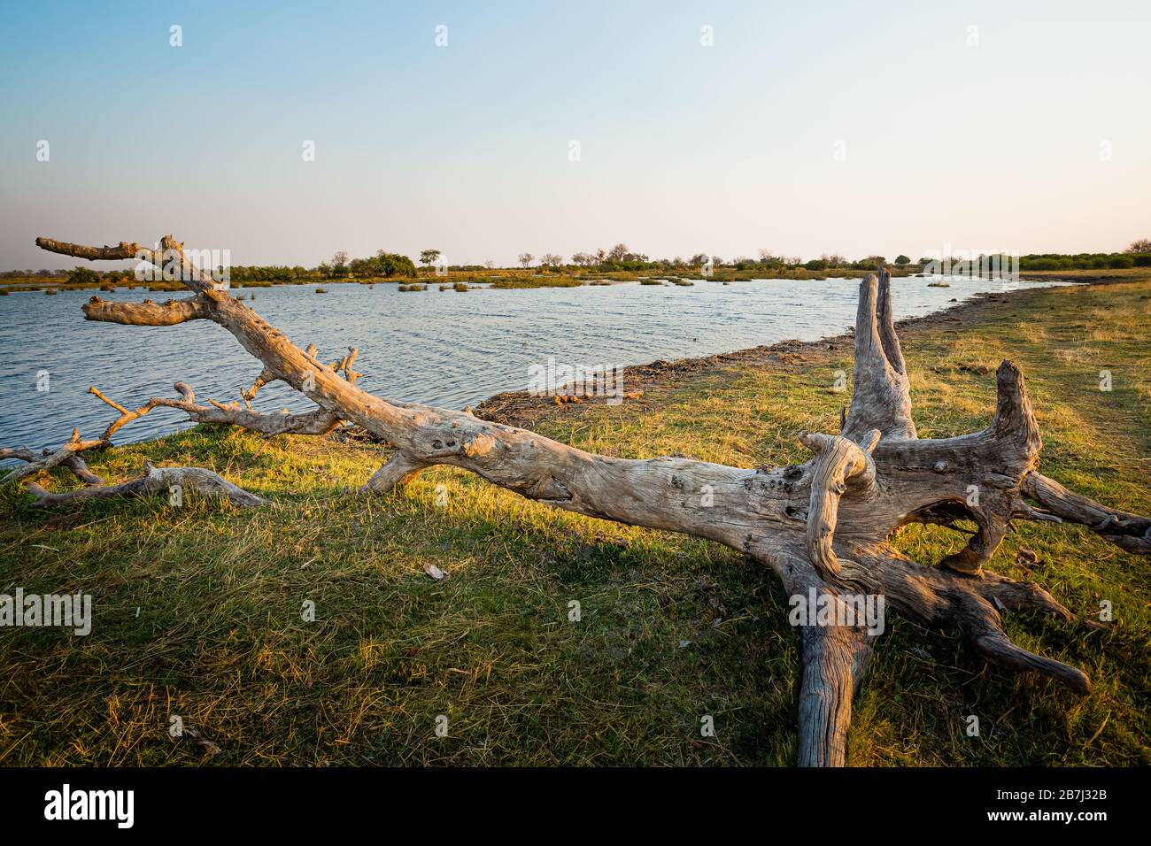 Bwabwata national park -Fotos und -Bildmaterial in hoher Auflösung – Alamy