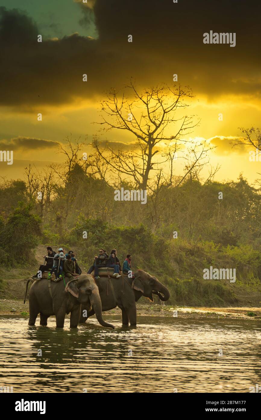Parsa nationalpark -Fotos und -Bildmaterial in hoher Auflösung – Alamy