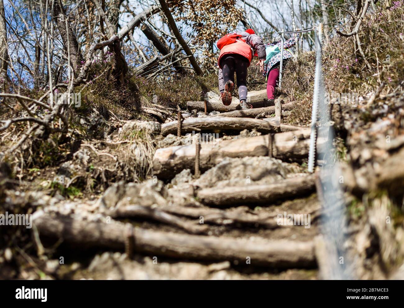 Kinder, die auf Familienausflug in die Berge oder in den Wald wandern ...