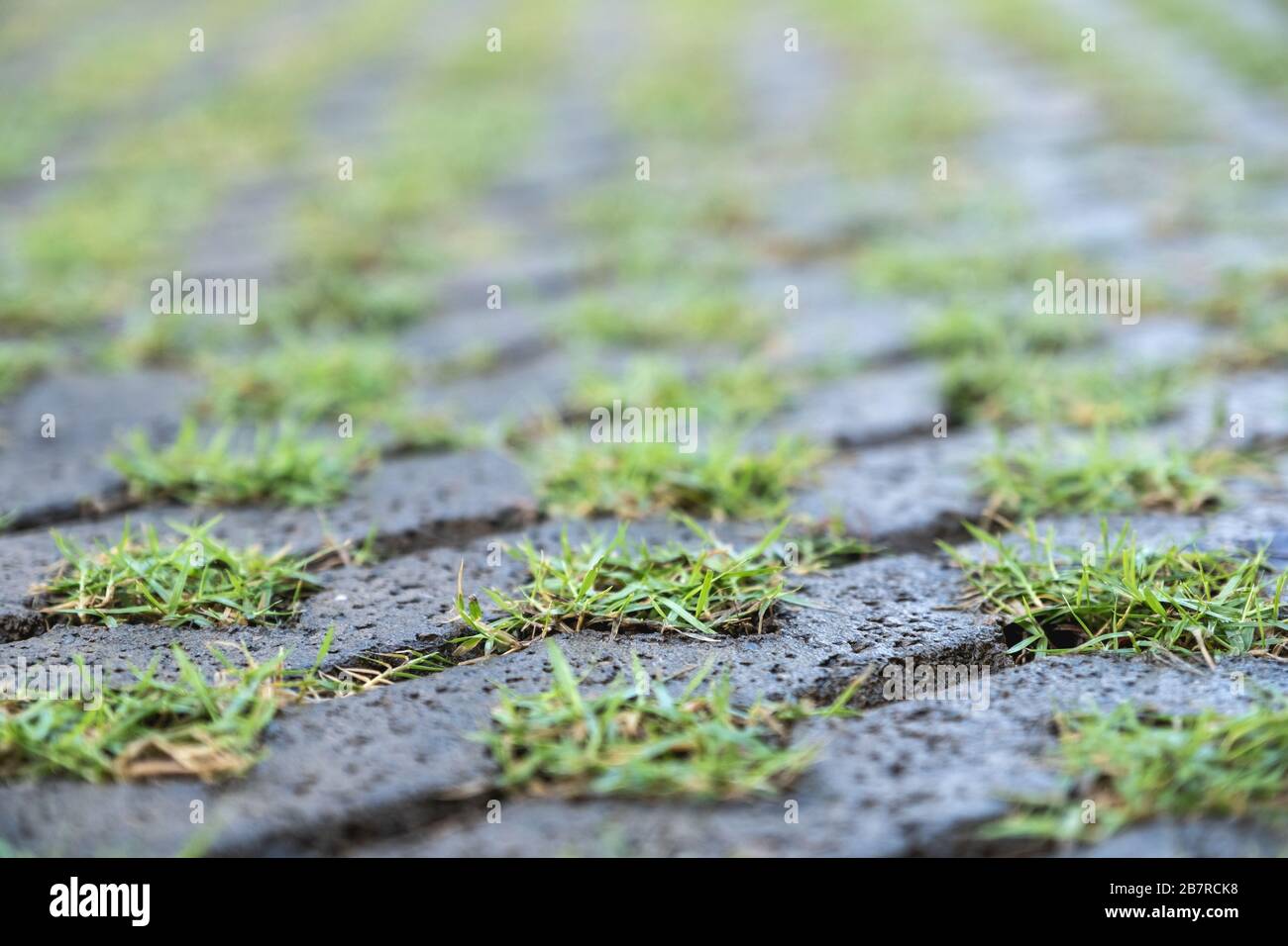 Grass Growing In Concrete Stockfotos und -bilder Kaufen - Alamy