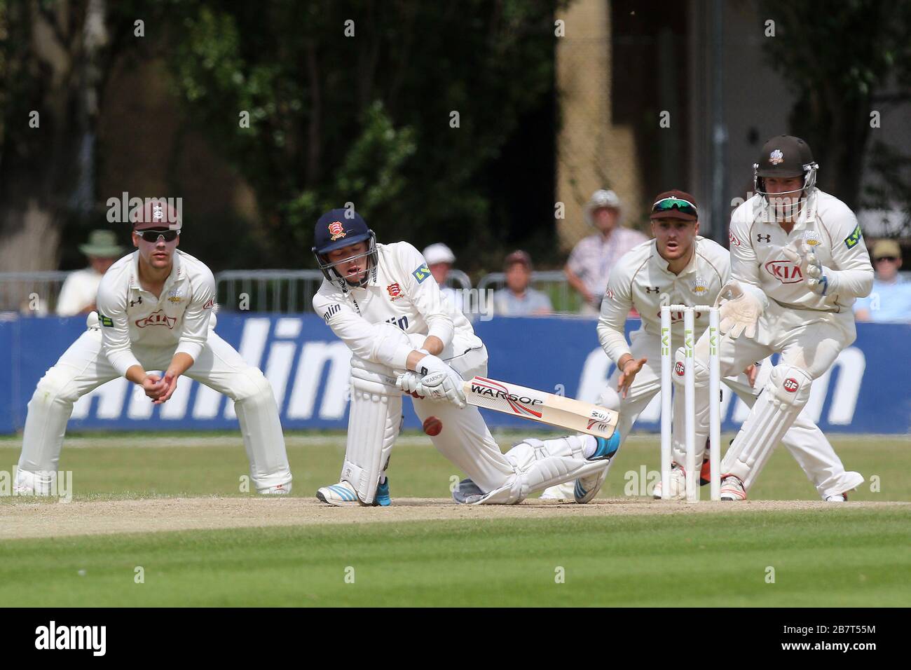 Jason salisbury -Fotos und -Bildmaterial in hoher Auflösung – Alamy