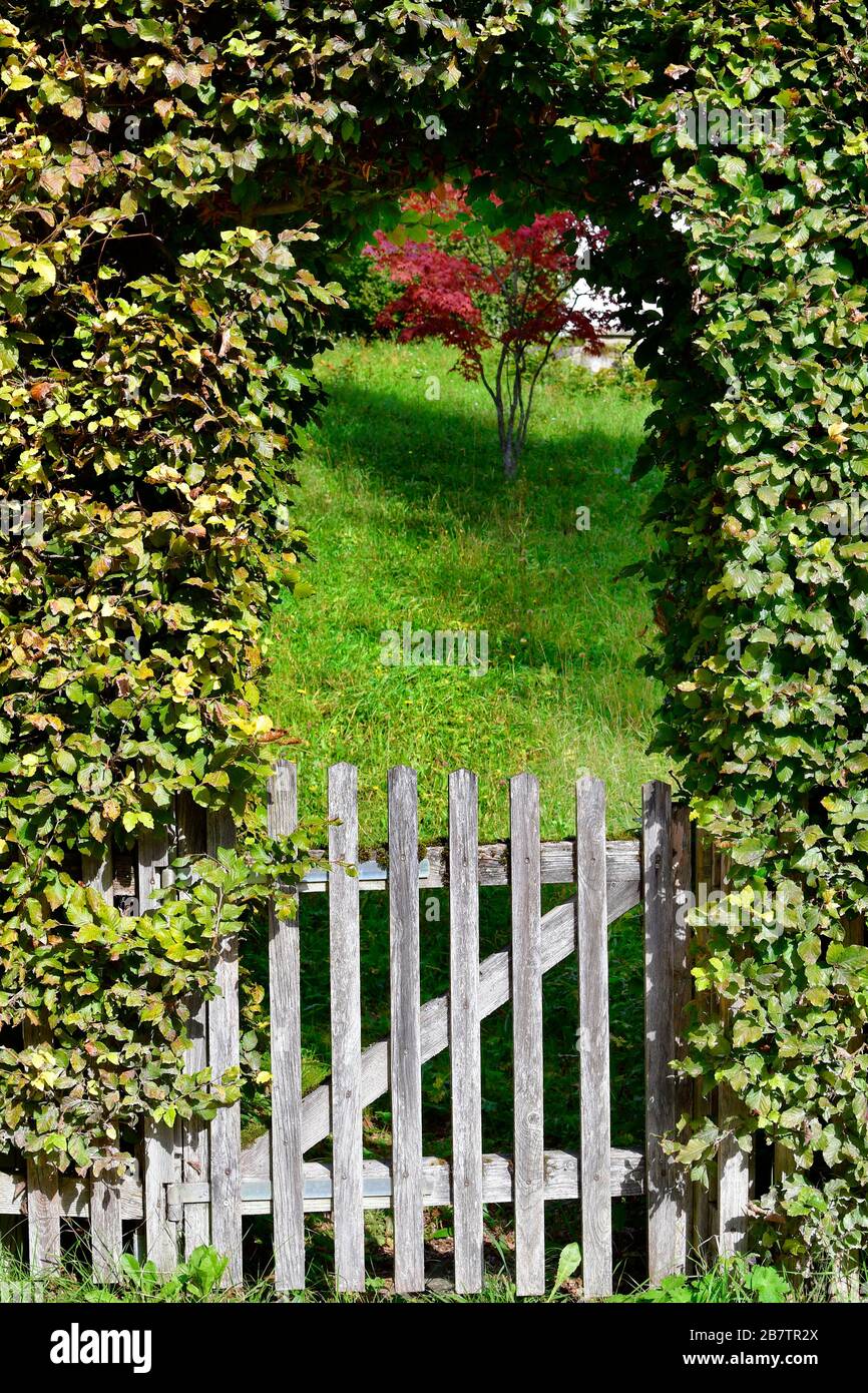 Natürlicher torbogen -Fotos und -Bildmaterial in hoher Auflösung – Alamy