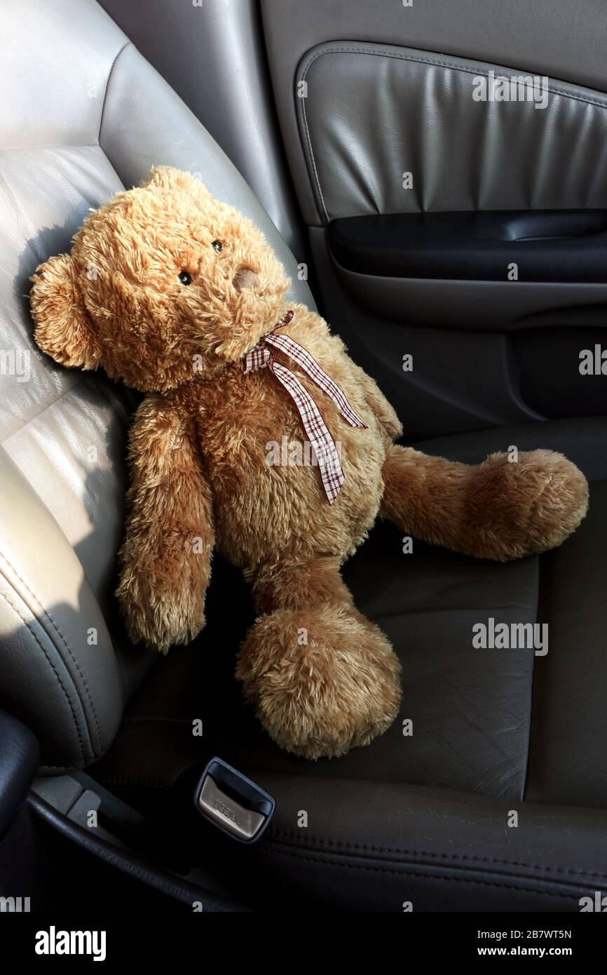 Teddy Bear In Car Stockfotos und -bilder Kaufen - Alamy