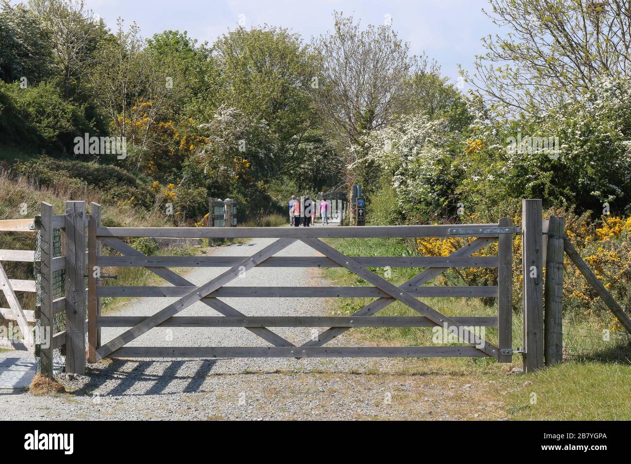 Wandern cooley halbinsel -Fotos und -Bildmaterial in hoher Auflösung ...