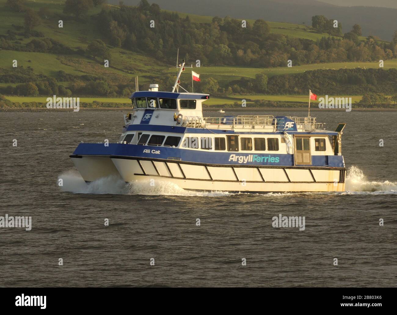 Mv ali katze -Fotos und -Bildmaterial in hoher Auflösung – Alamy
