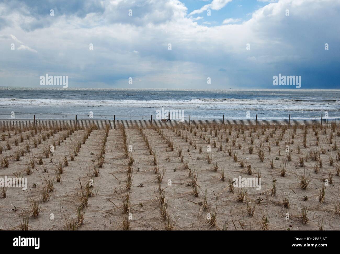 Beach grass -Fotos und -Bildmaterial in hoher Auflösung – Alamy
