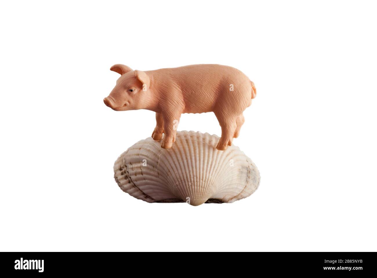 Niedliches nutztierferkel Ausgeschnittene Stockfotos und -bilder - Alamy