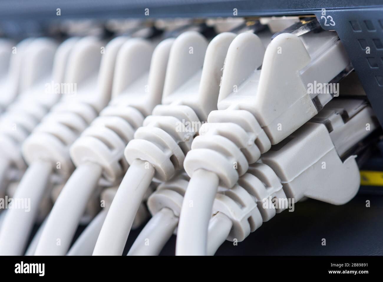 Network switch ethernet cables -Fotos und -Bildmaterial in hoher ...
