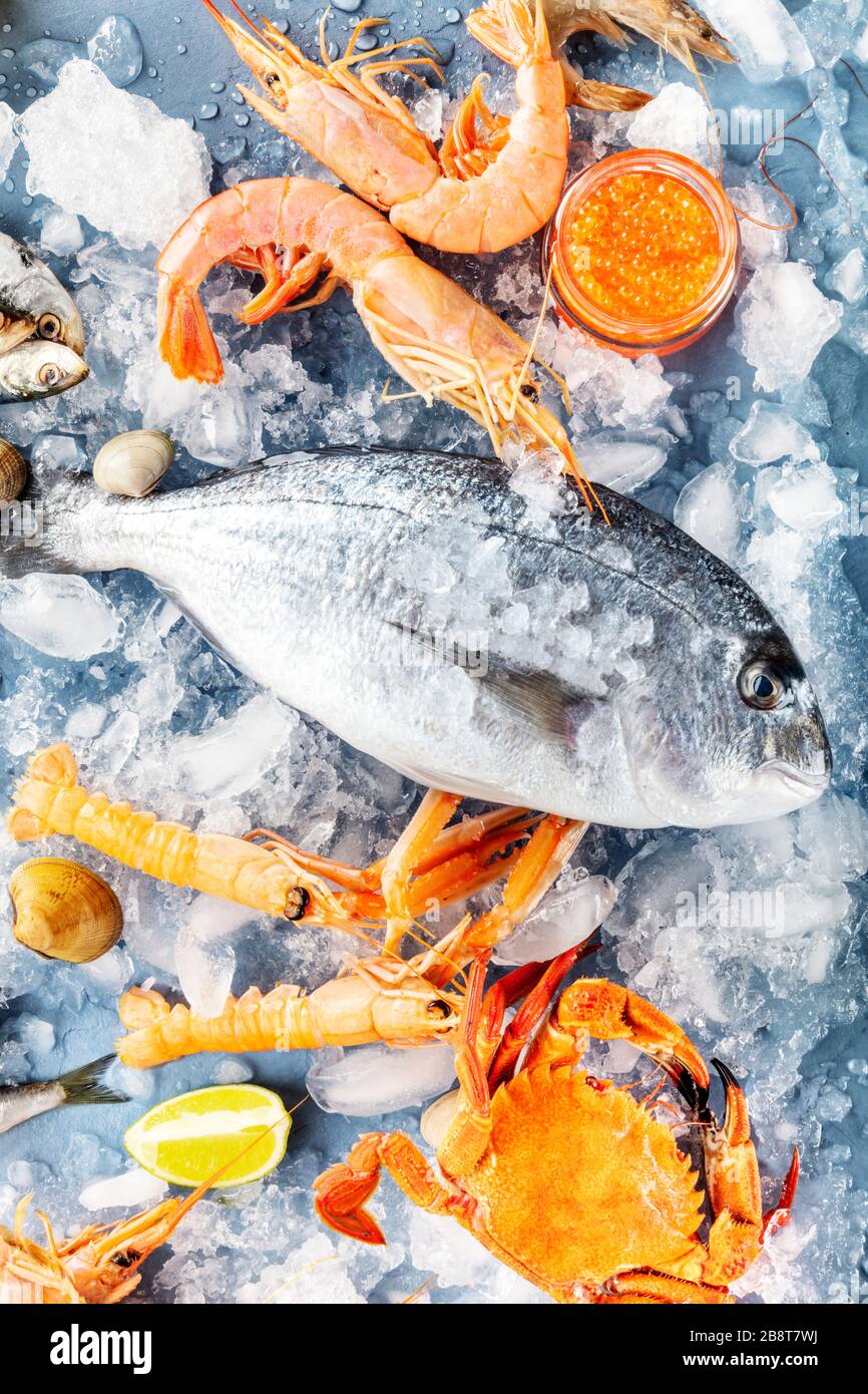 Fisch und Schalentiere Stockfotos und -bilder Kaufen - Alamy