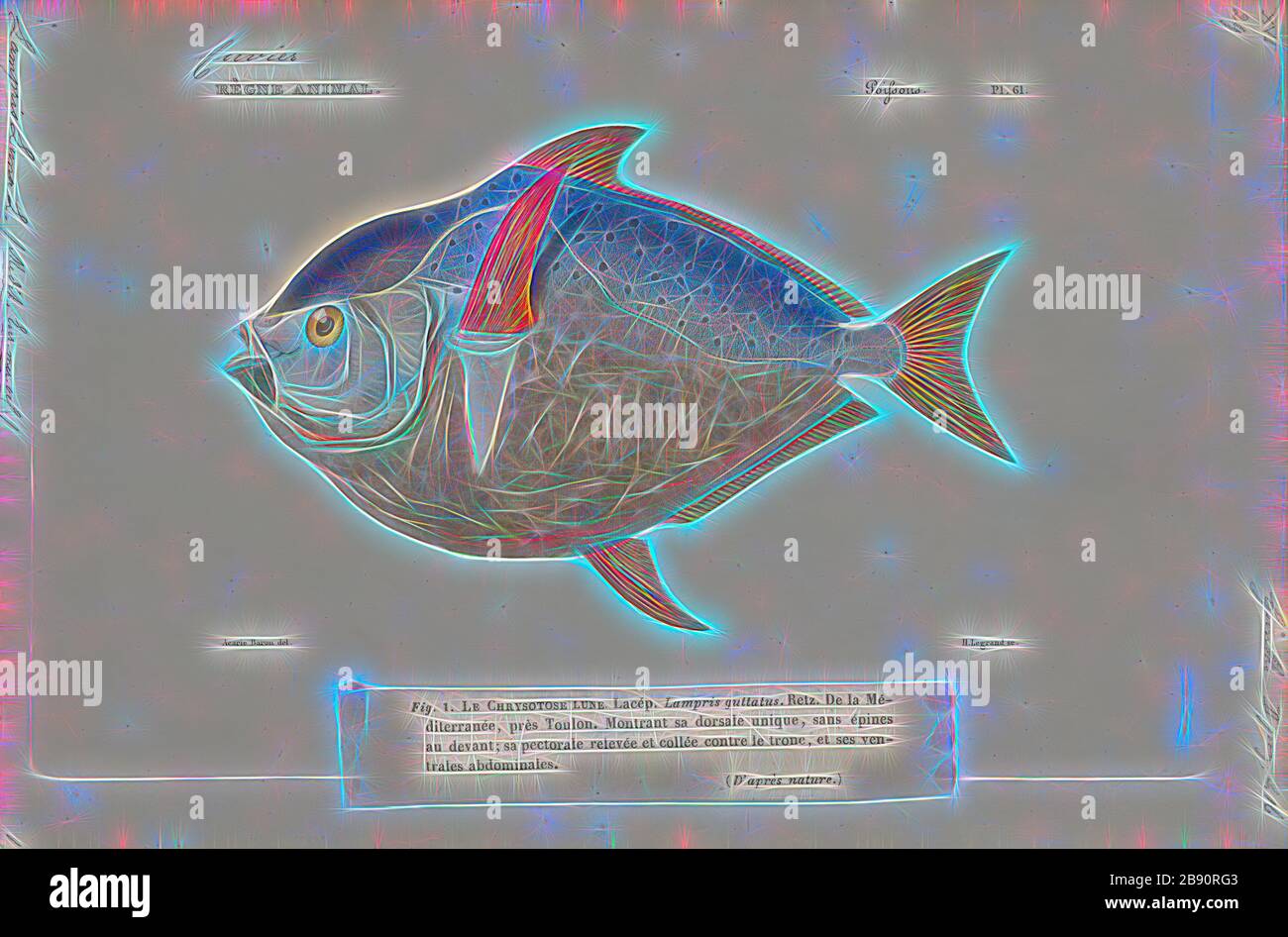 Es kommen zwei lebende arten vor -Fotos und -Bildmaterial in hoher ...