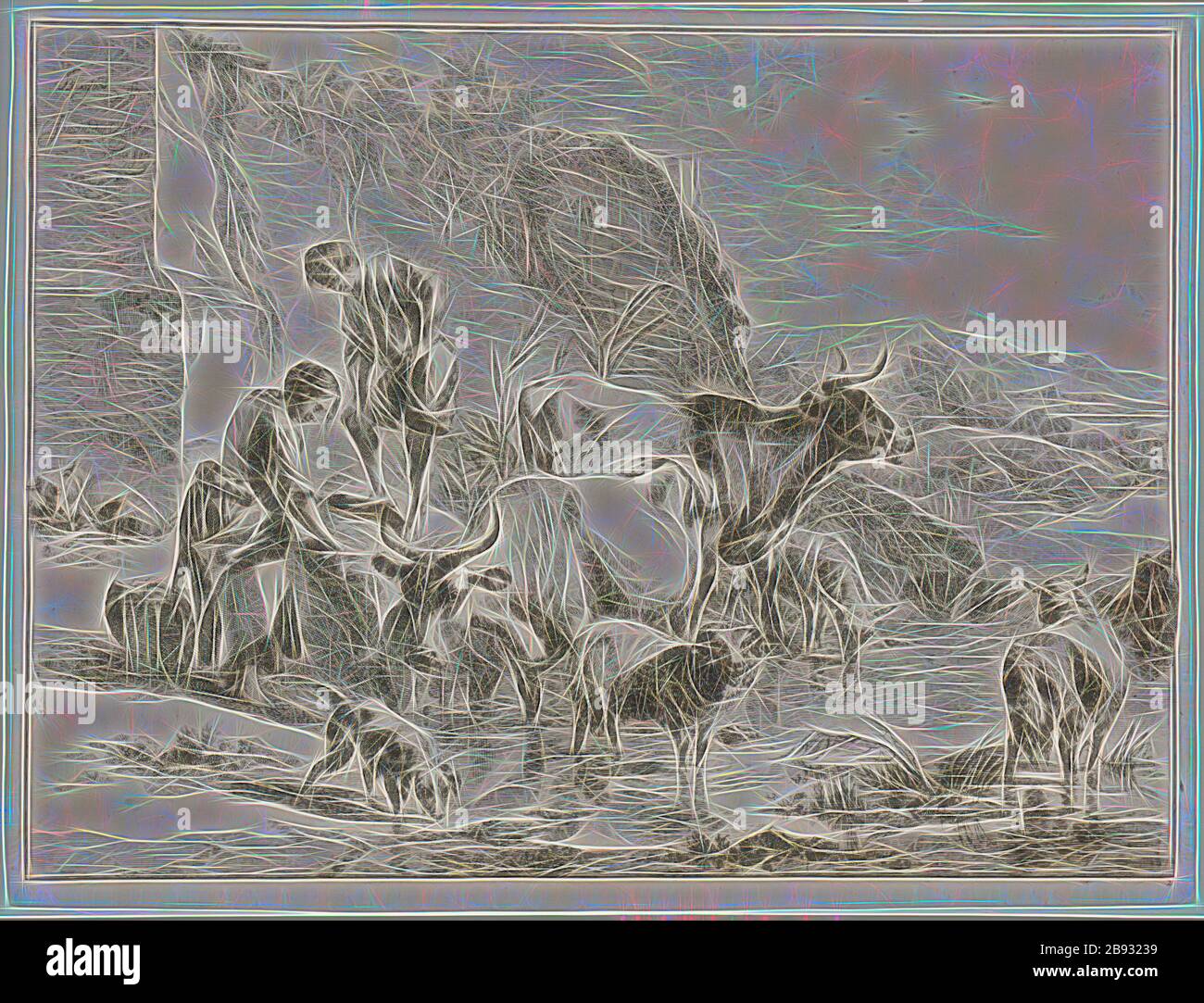 Johan de visscher aqua -Fotos und -Bildmaterial in hoher Auflösung – Alamy