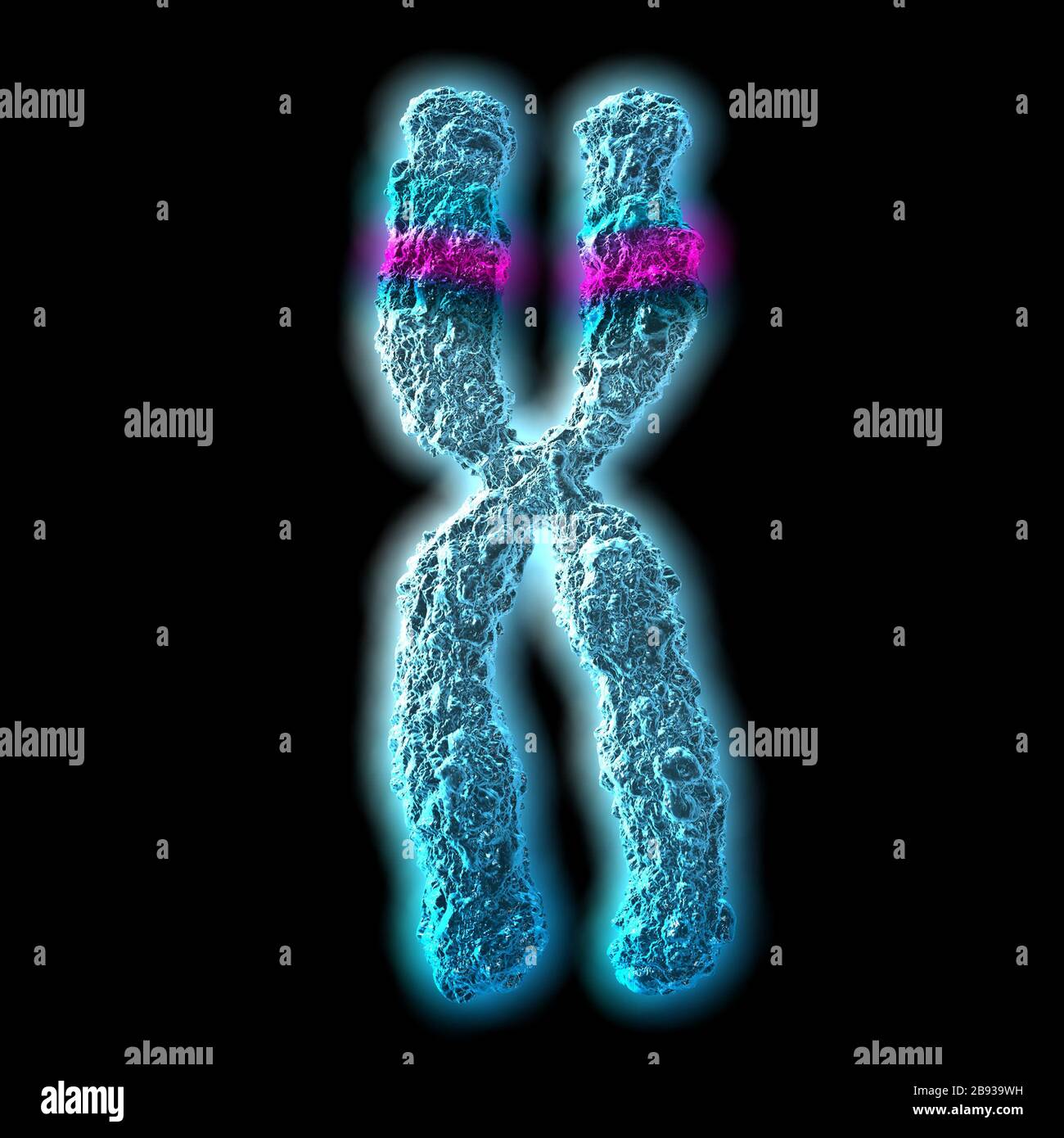 Genetischer defekt -Fotos und -Bildmaterial in hoher Auflösung – Alamy