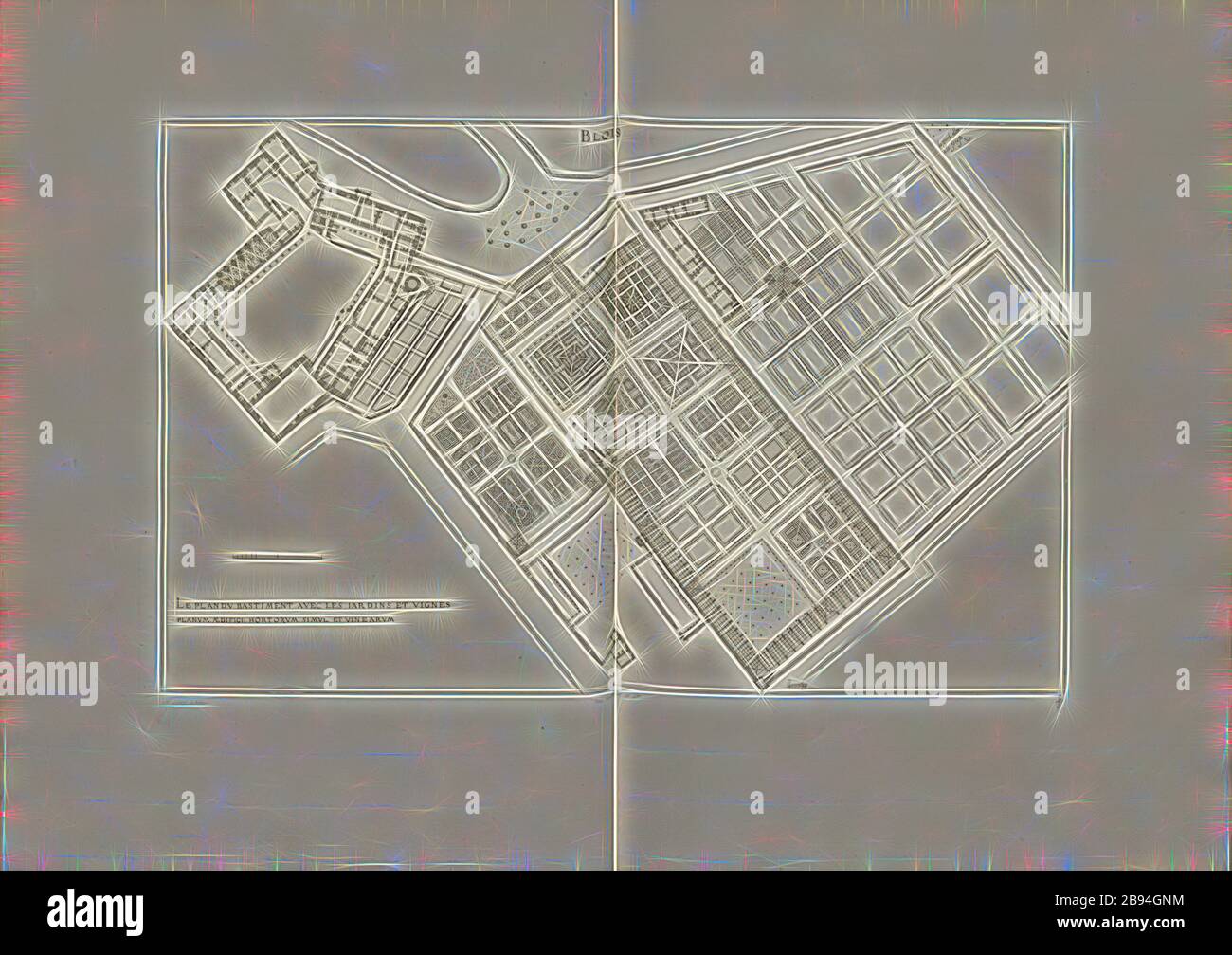 Blois. Der Plan des Gebäudes mit den Gärten und Reben, Grundriss des ...