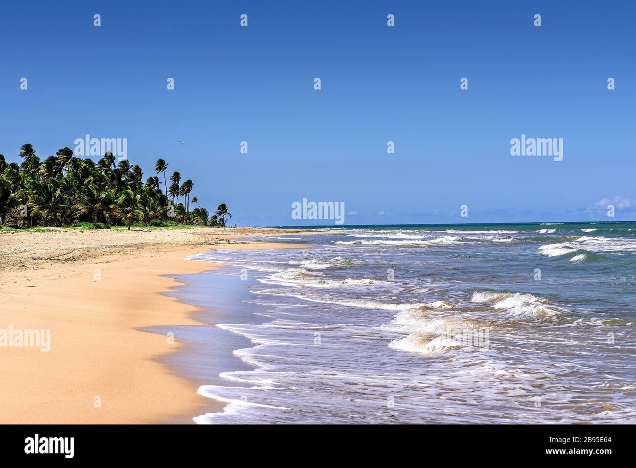 Bahia beach -Fotos und -Bildmaterial in hoher Auflösung – Alamy