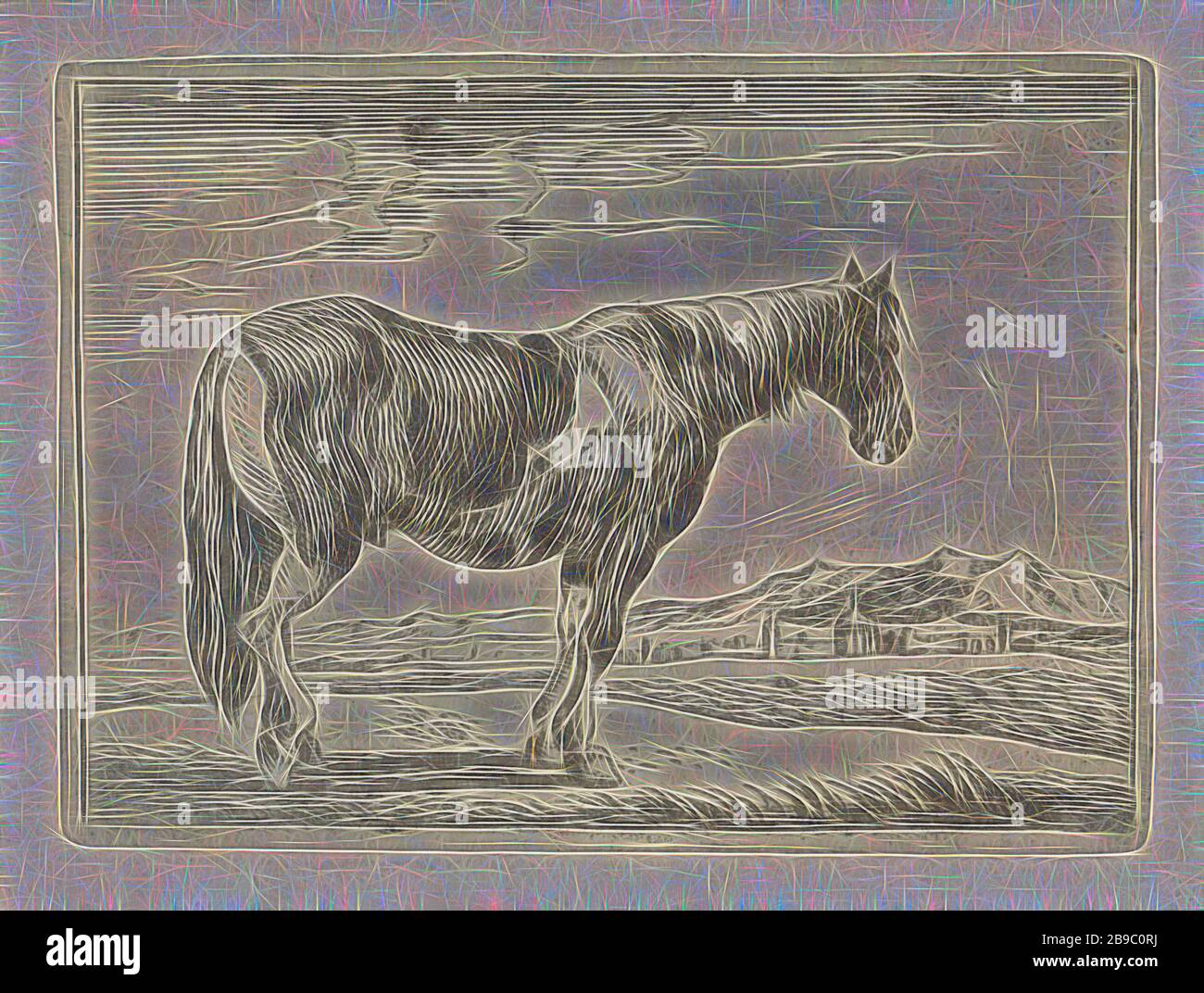 Stehendes pferd verschiedene tiere -Fotos und -Bildmaterial in hoher ...