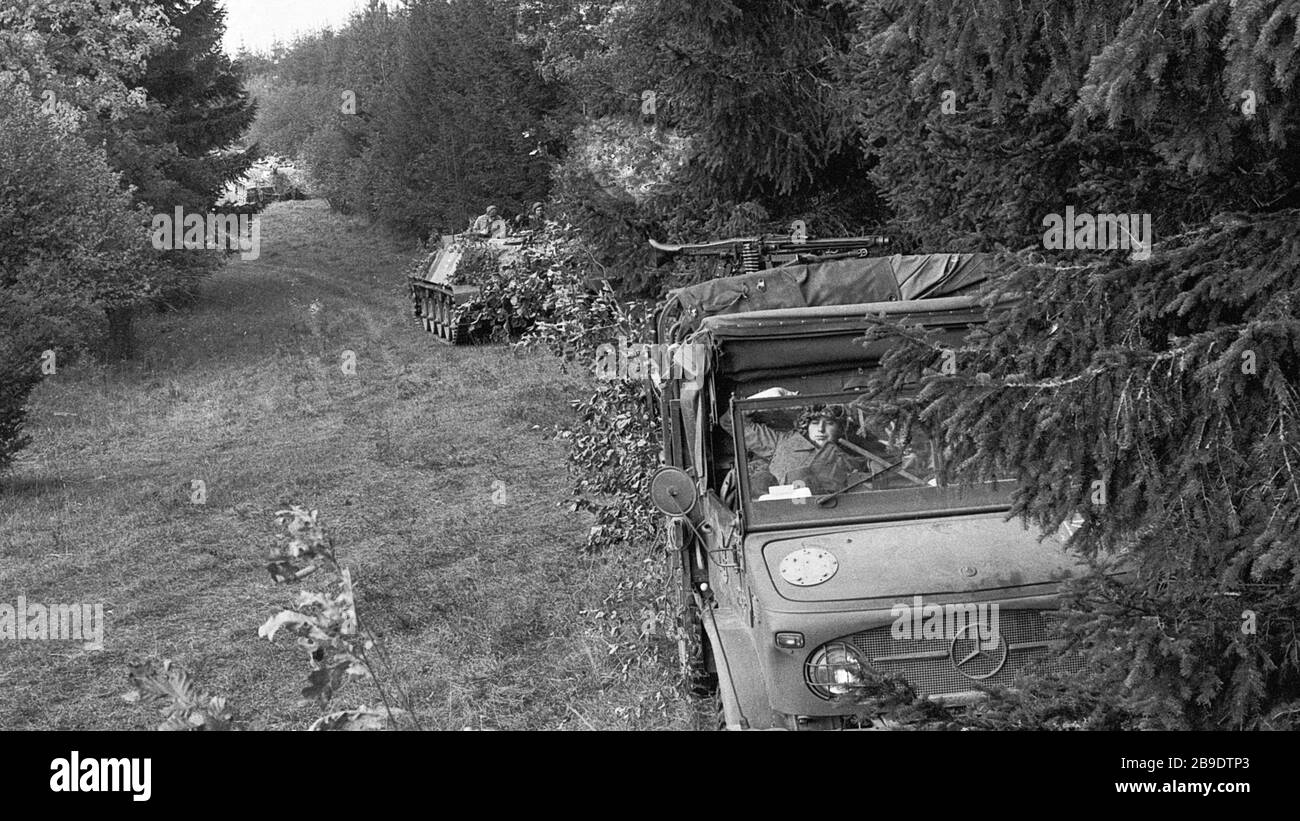 Panzer im wald tarnung -Fotos und -Bildmaterial in hoher Auflösung – Alamy
