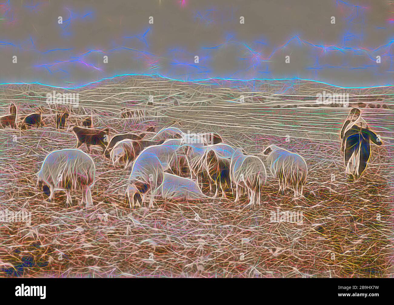 Shepherd's fields bethlehem -Fotos und -Bildmaterial in hoher Auflösung – Alamy