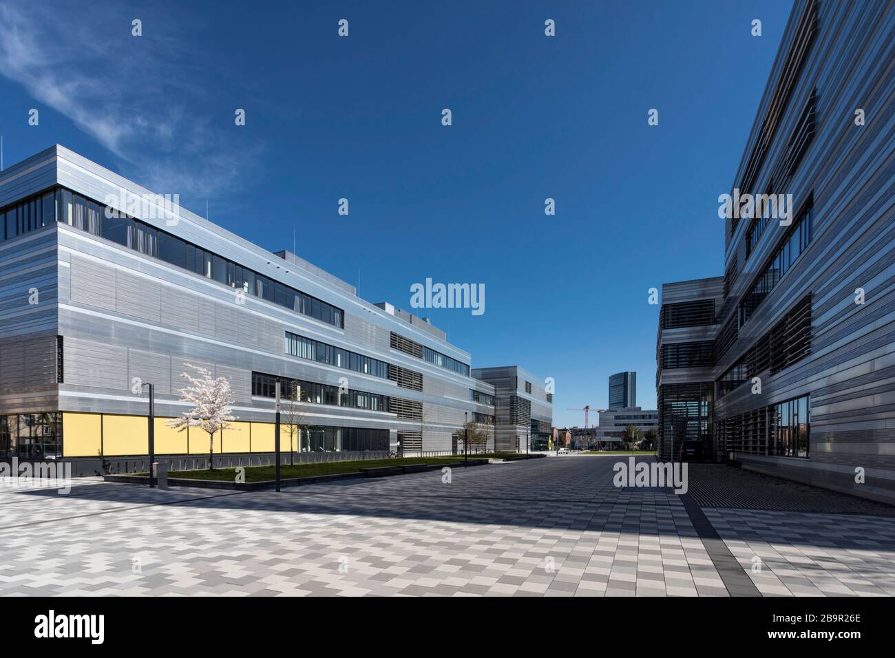 University of applied sciences dusseldorf -Fotos und -Bildmaterial in hoher Auflösung – Alamy
