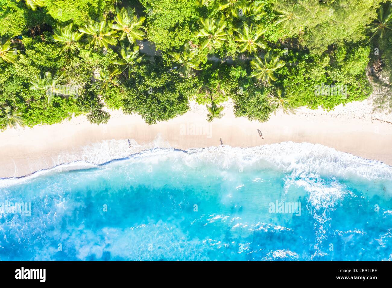 Seychellen natur hintergrund -Fotos und -Bildmaterial in hoher ...