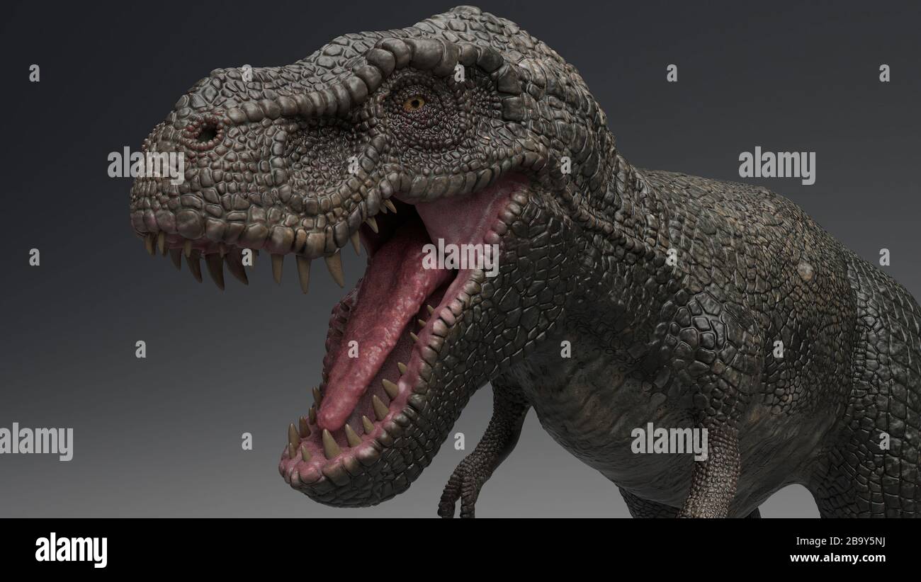 Zhuchengtyrannus Magnus By Blackantmaster T Rex