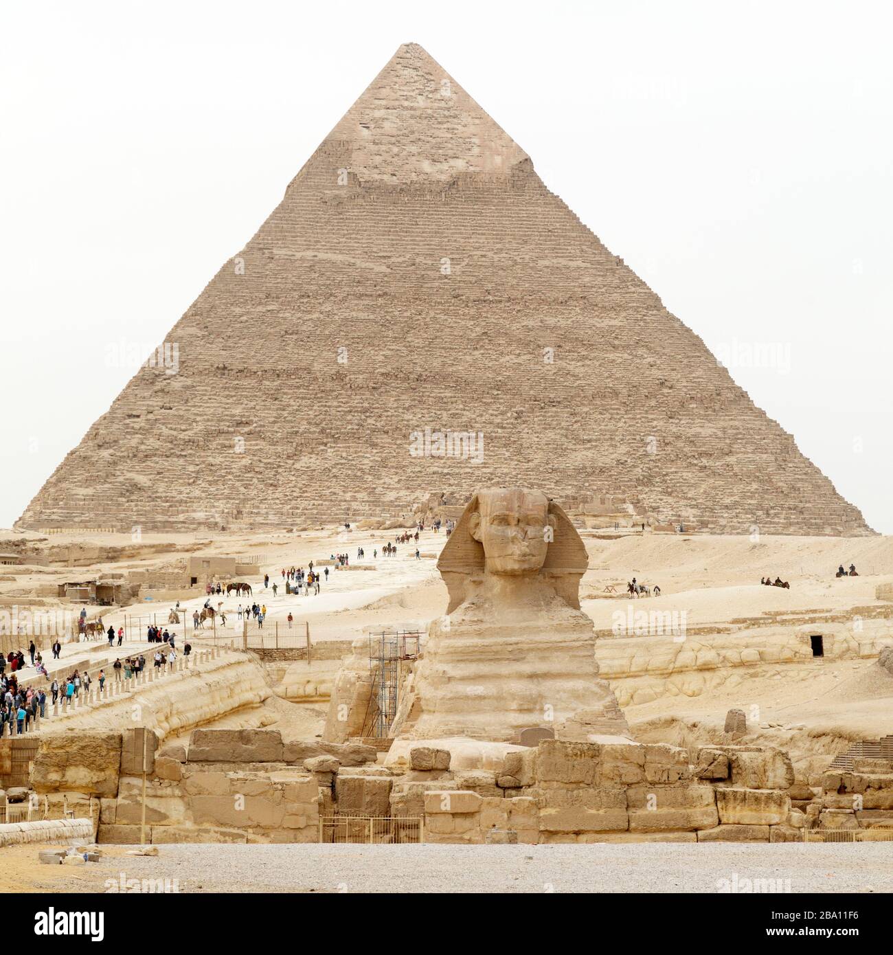 Die große Sphinx von Gizeh auf dem Giza-Plateau in Kairo, Ägypten. Die ...