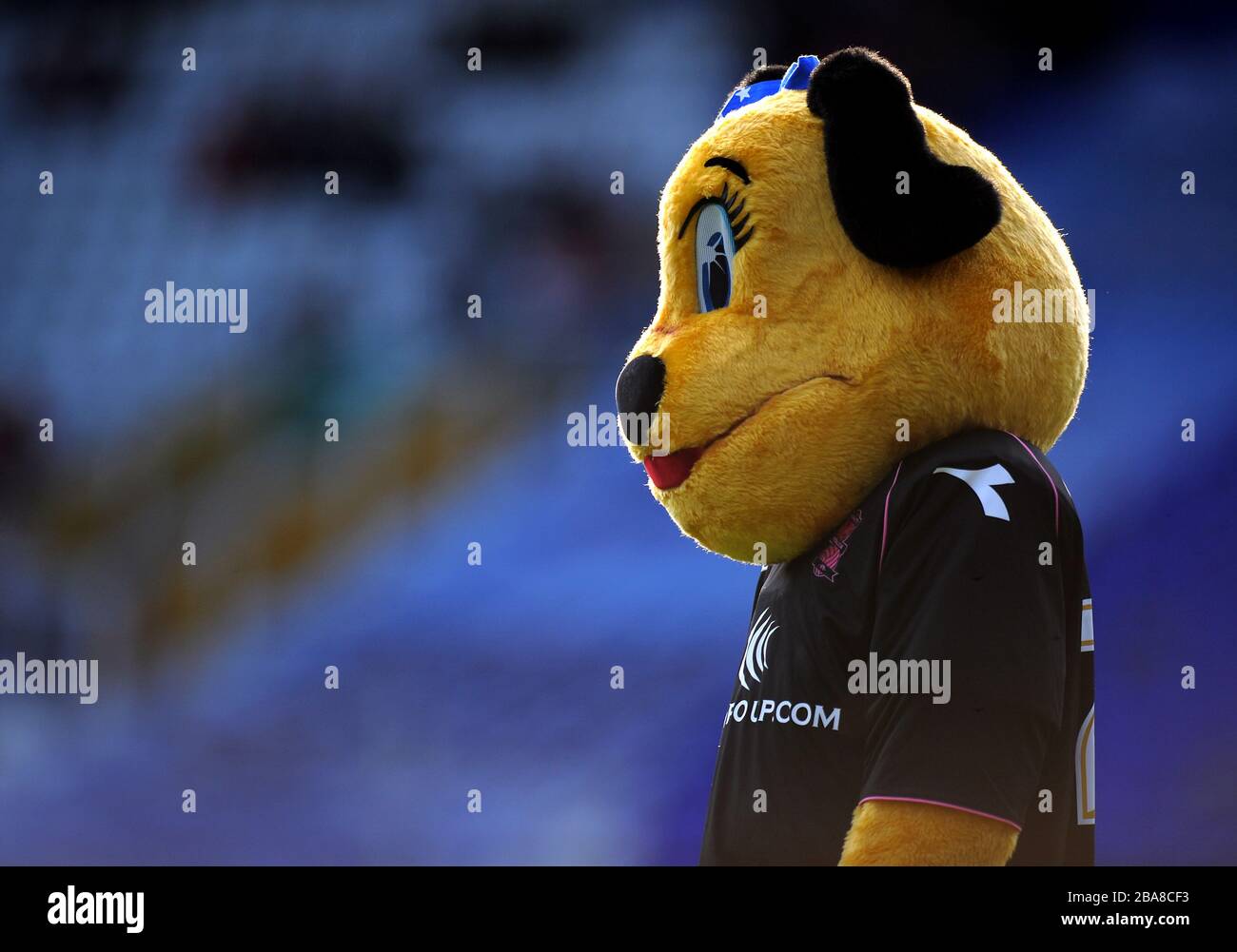 Birmingham city mascot -Fotos und -Bildmaterial in hoher Auflösung – Alamy