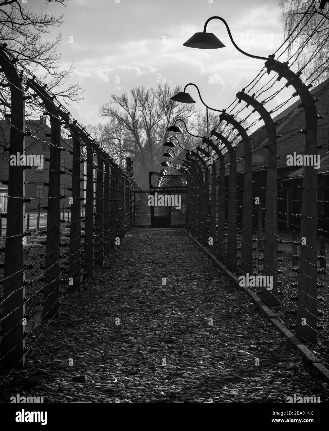 Worldwar i -Fotos und -Bildmaterial in hoher Auflösung – Alamy