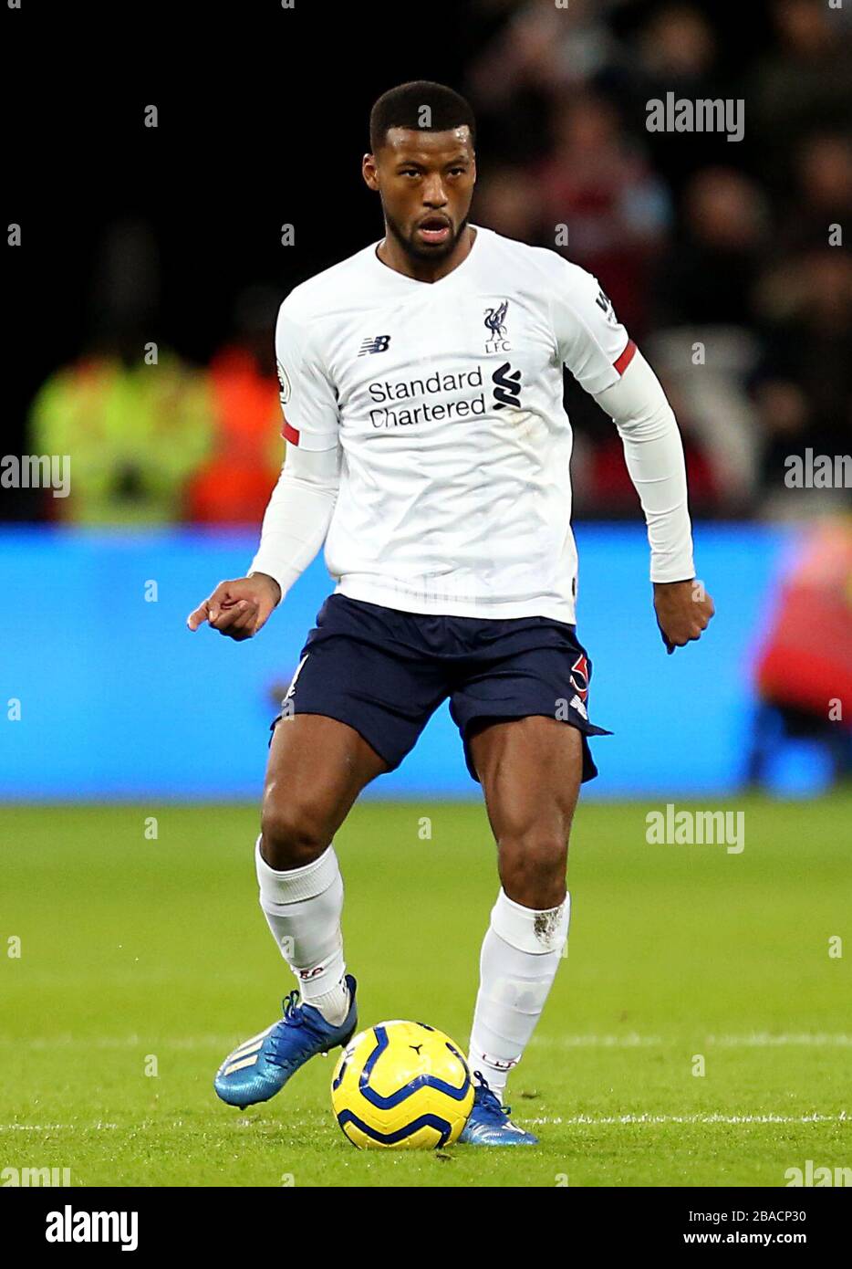 Georginio Wijnaldum Stockfotos und -bilder Kaufen - Alamy