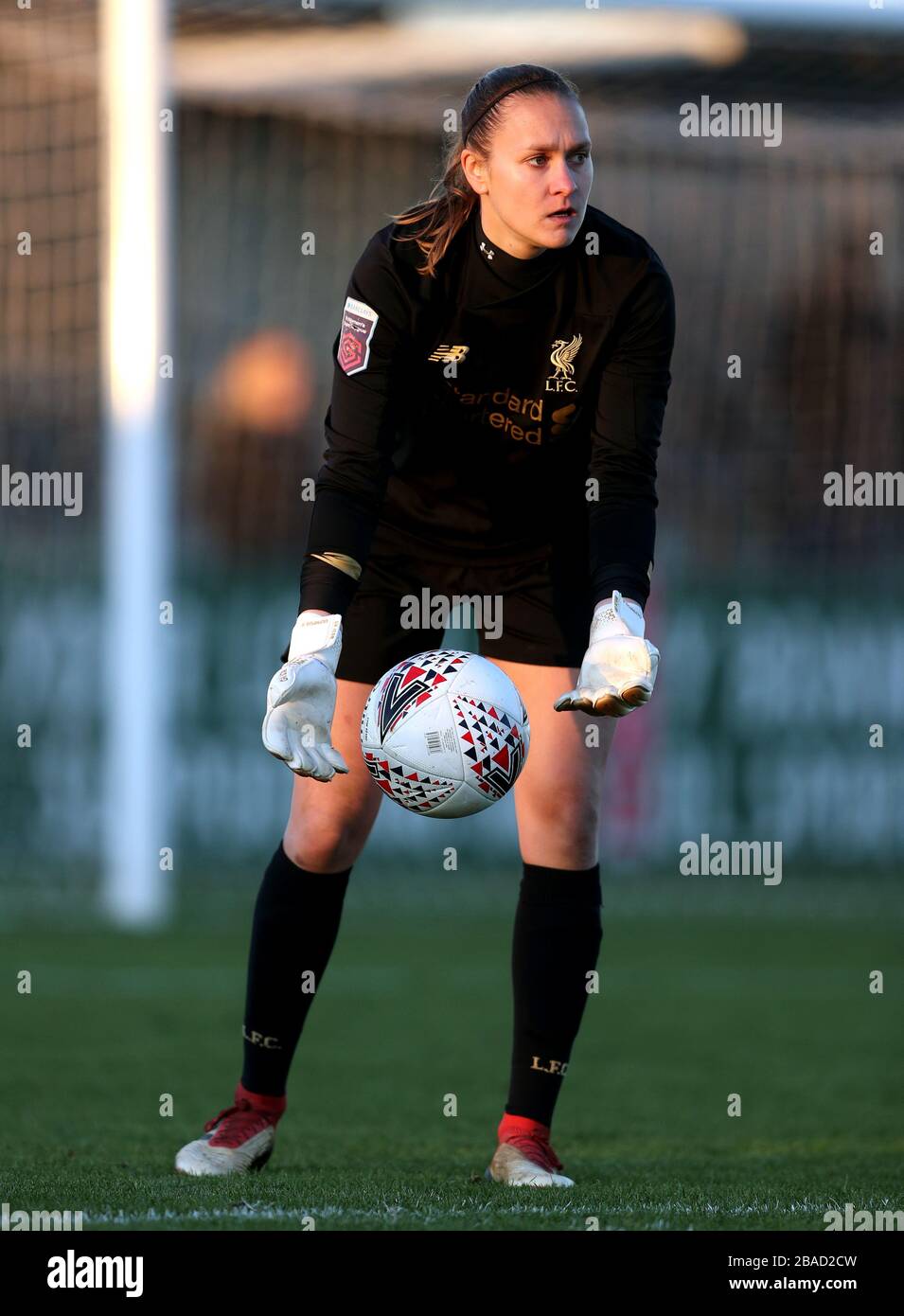 Anke preuss -Fotos und -Bildmaterial in hoher Auflösung – Alamy