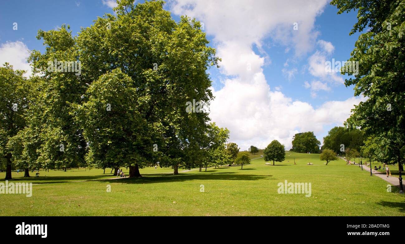 Primel hill kanal -Fotos und -Bildmaterial in hoher Auflösung – Alamy