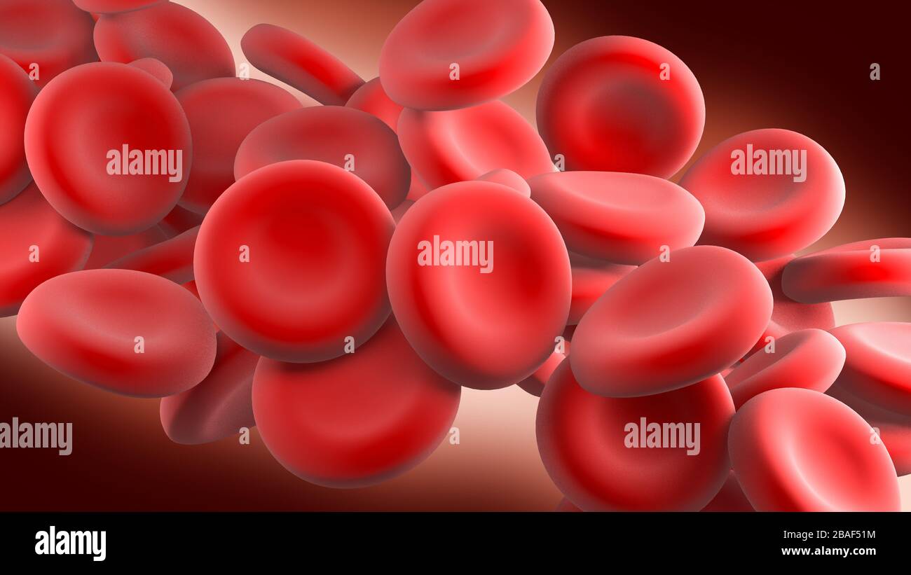 Rote Blutzellen bewegen sich in der Vene Stockfotografie - Alamy