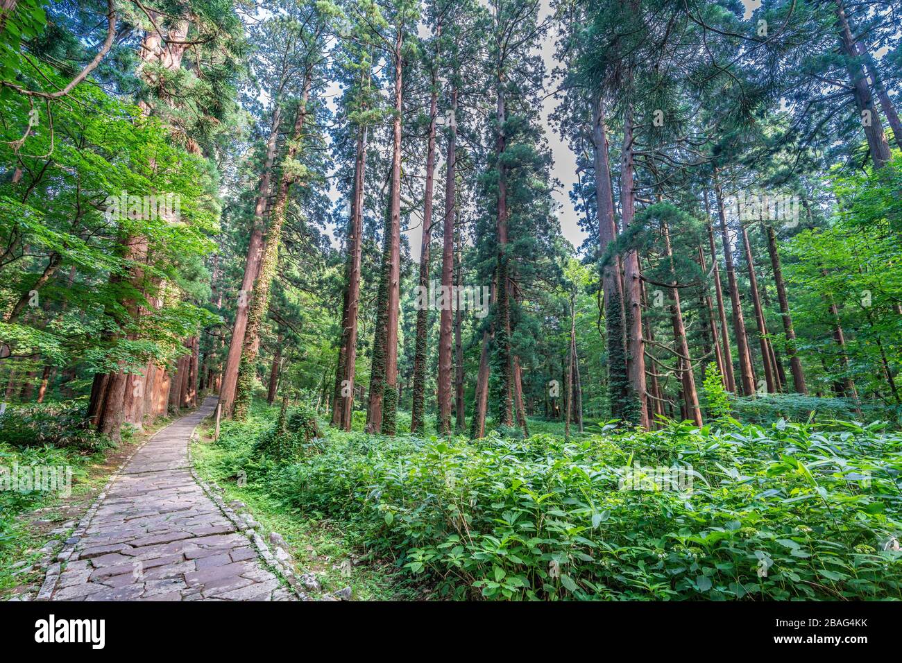 Mount Haguro, eines der drei heiligen Berge der Provinz Dewa (出羽三山 ...